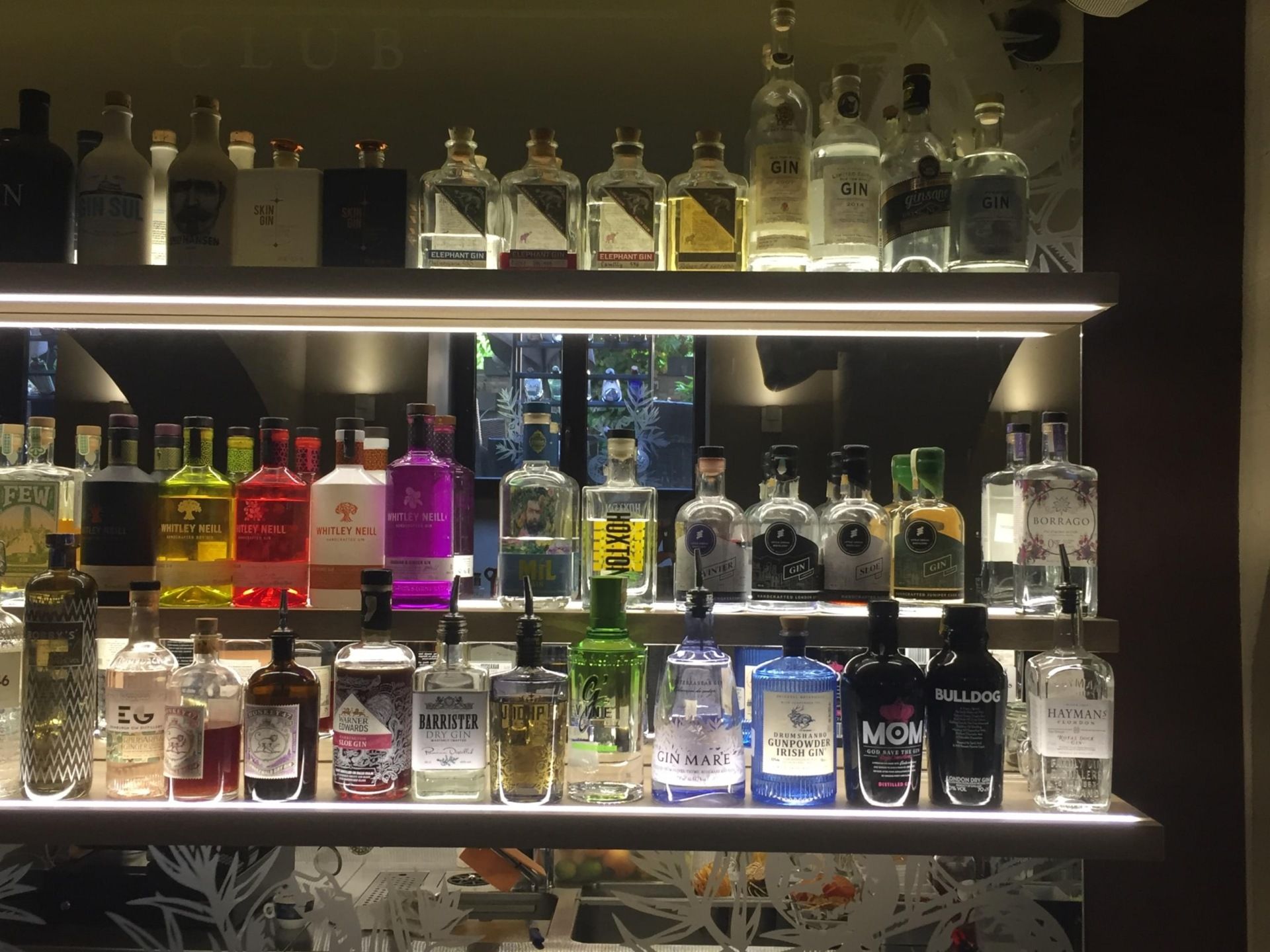 Historie a vývoj ginu podle Boba - Druhy ginu